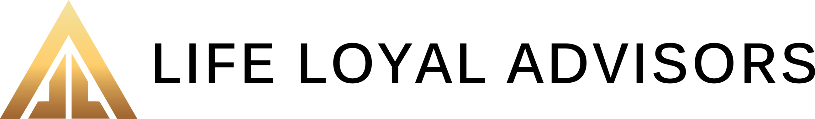 Holistic Financial Planning In Illinois | Life Loyal Advisors